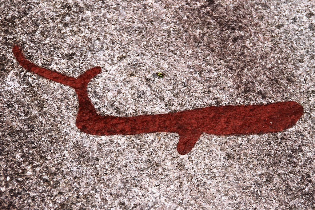 Scandinavische rotstekeningen – Wat betekenen ze? En waarom zijn ze ...