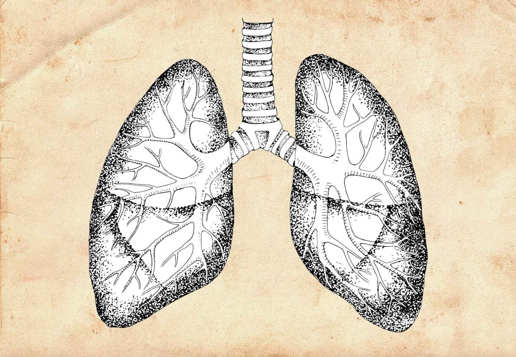 Benzine met lood maakte wereldbevolking dommer | historianet.nl