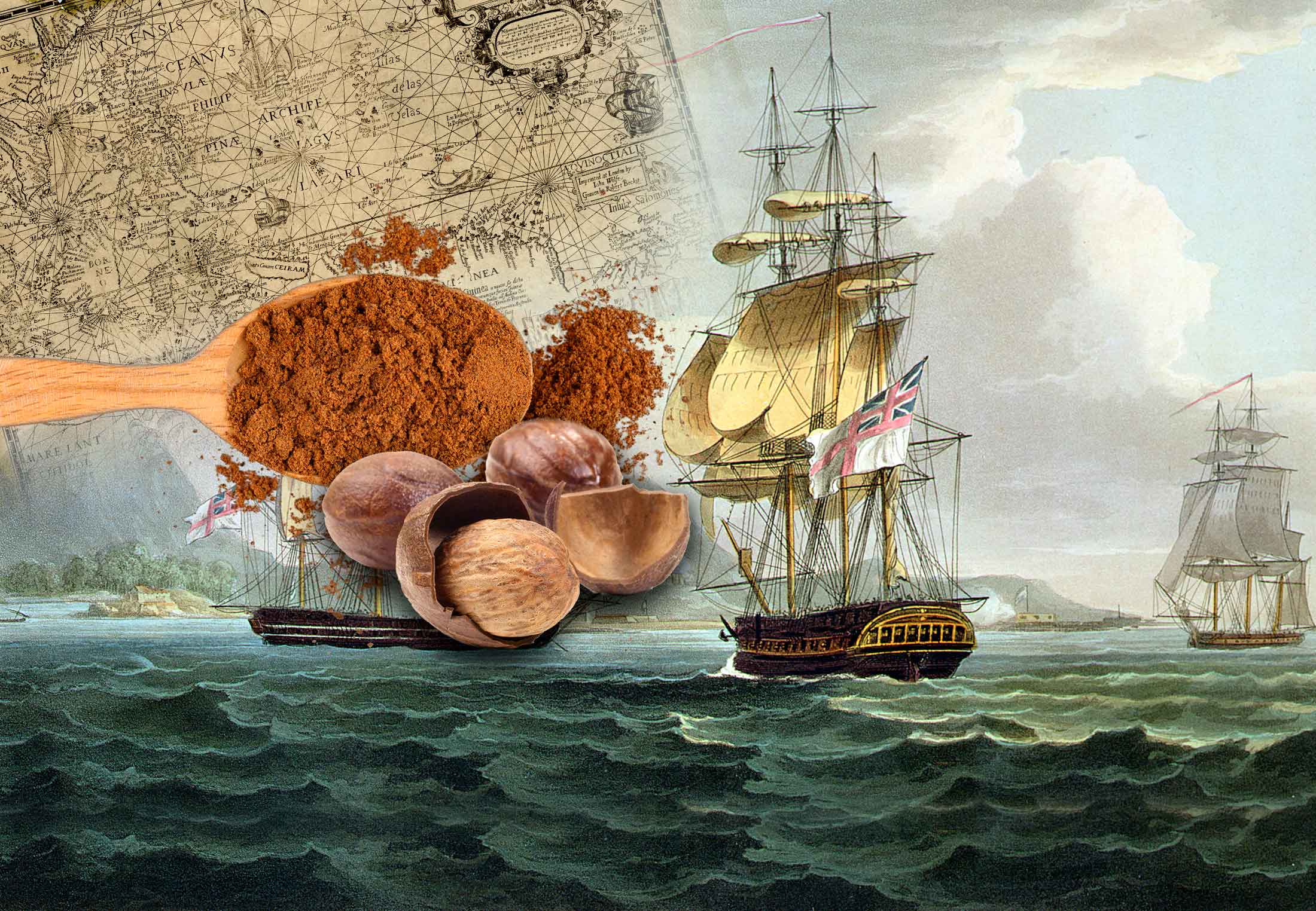 Krydder og potensmiddel: 300 års krig om muskatnøtter | historienet.no