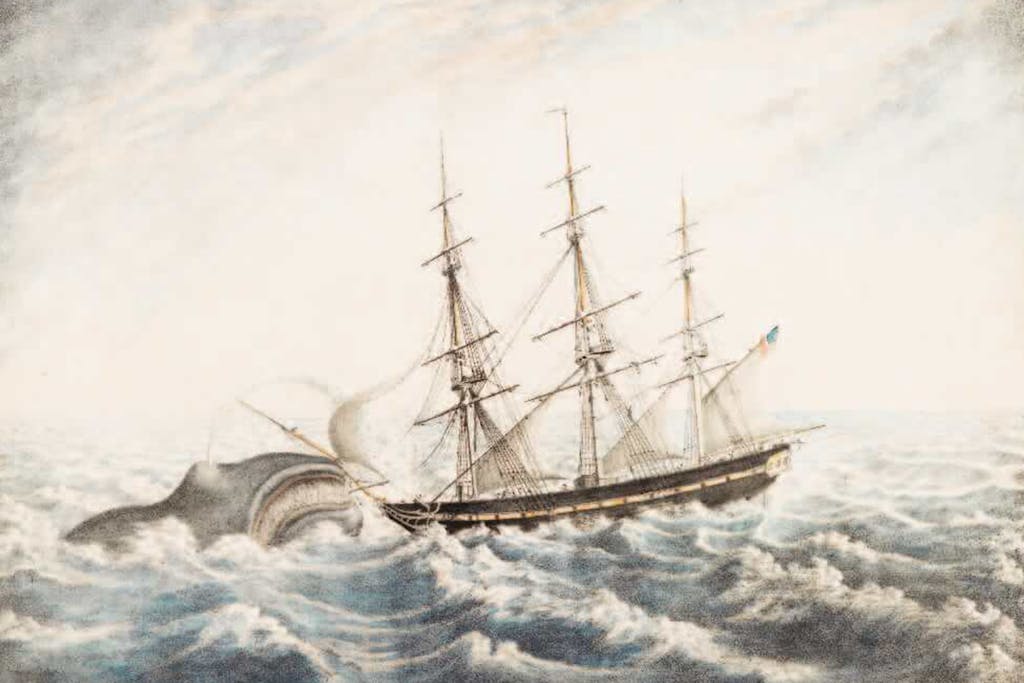 De 7 ergste gevallen van kannibalisme | historianet.nl