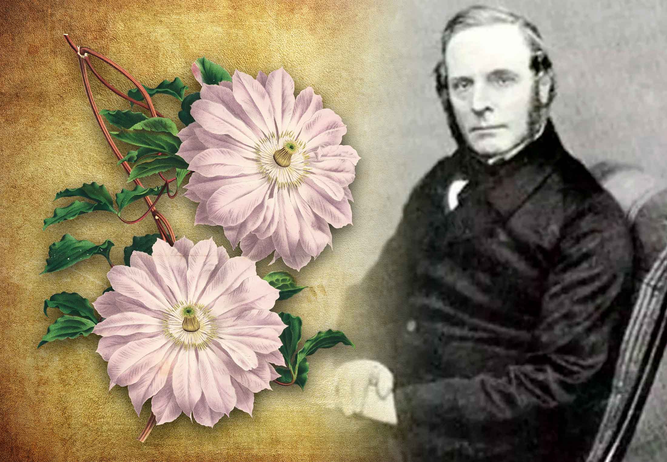 Plantenjagers brachten jou de bloemen in je tuin | historianet.nl