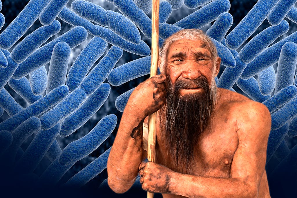 Medicin | Alt om epidemier som den spanske syge og pesten | historienet.dk