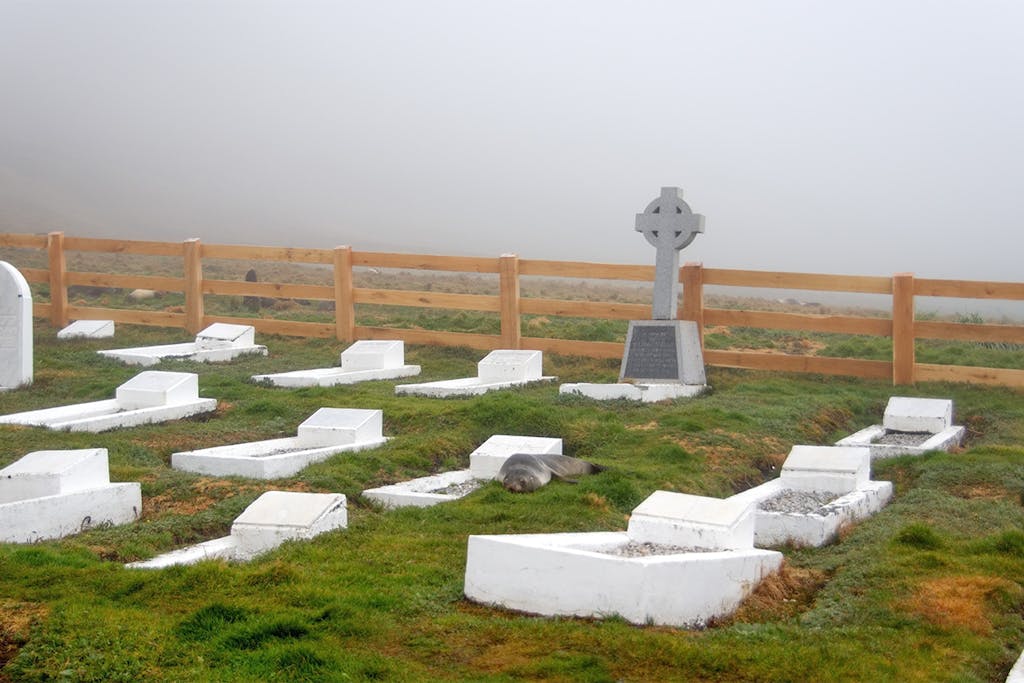 Grytviken was het Klondike van de IJszee | historianet.nl