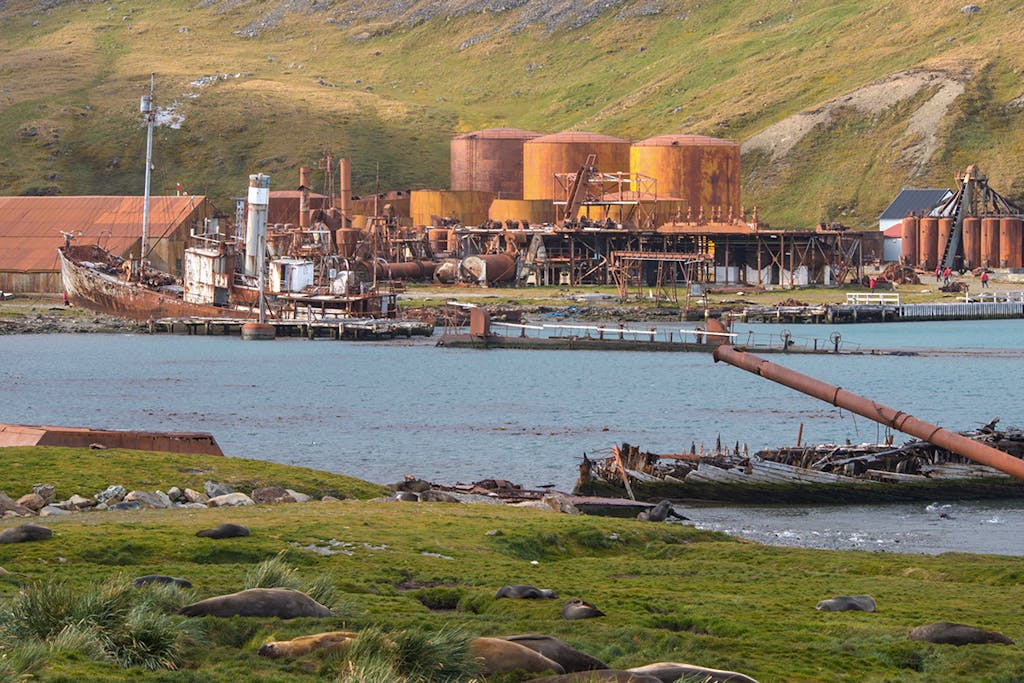 Grytviken was het Klondike van de IJszee | historianet.nl