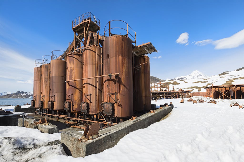 Grytviken was het Klondike van de IJszee | historianet.nl