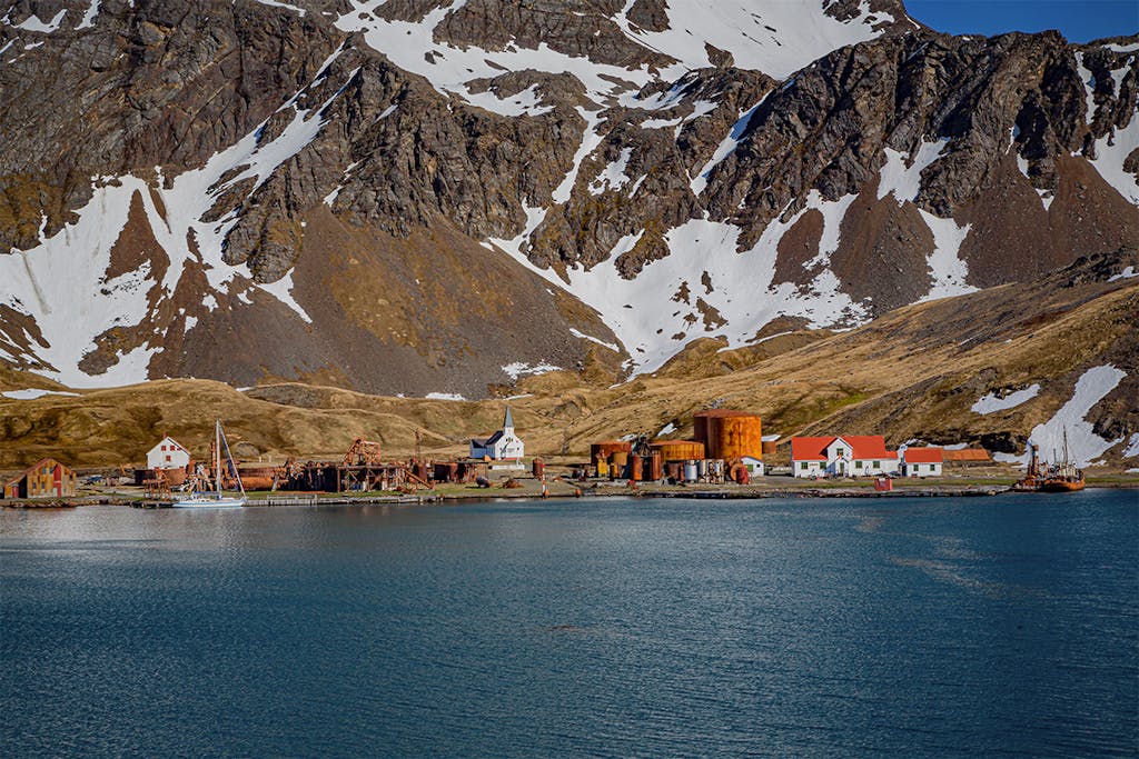 Grytviken var Ishavets Klondike | historienet.no