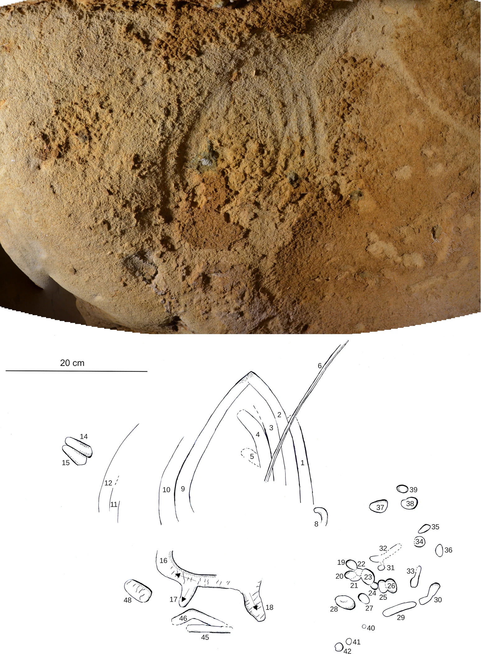 Neandertalere skabte verdens ældste huleindgraveringer | historienet.dk