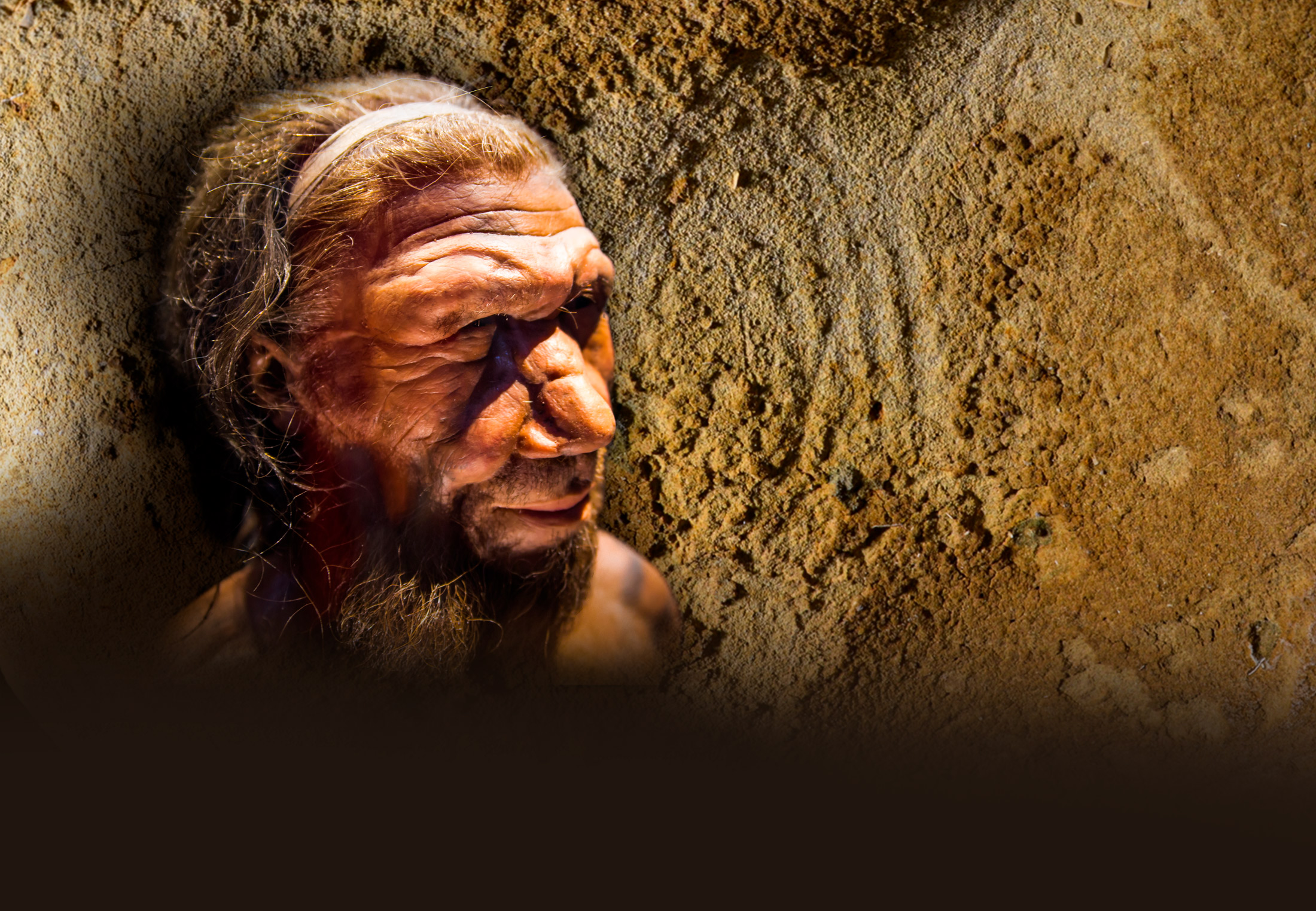 Neandertalare skapade världens första ristningar | varldenshistoria.se