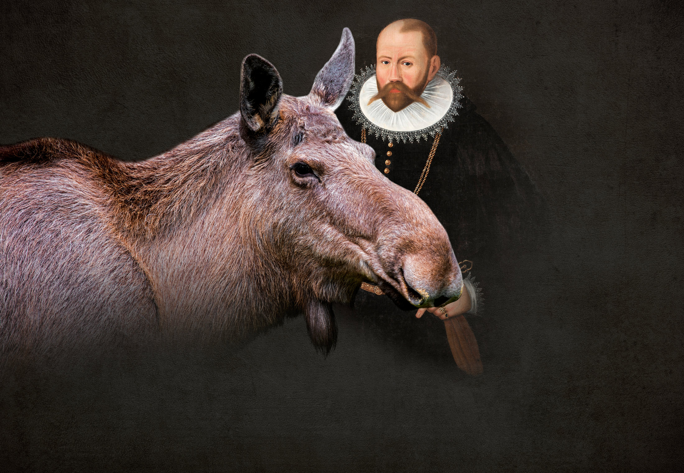 Tyko Brahen kesy hirvi kuoli kännissä | historianet.fi