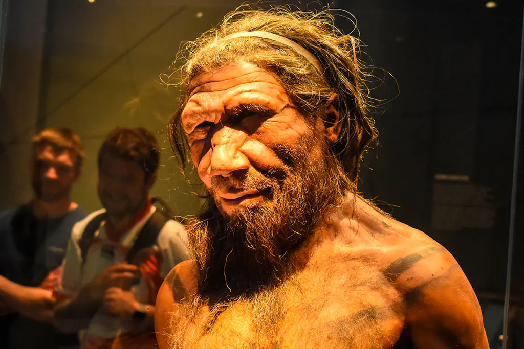 Stenalderen - menneskets evolution og forhistorie | historienet.dk