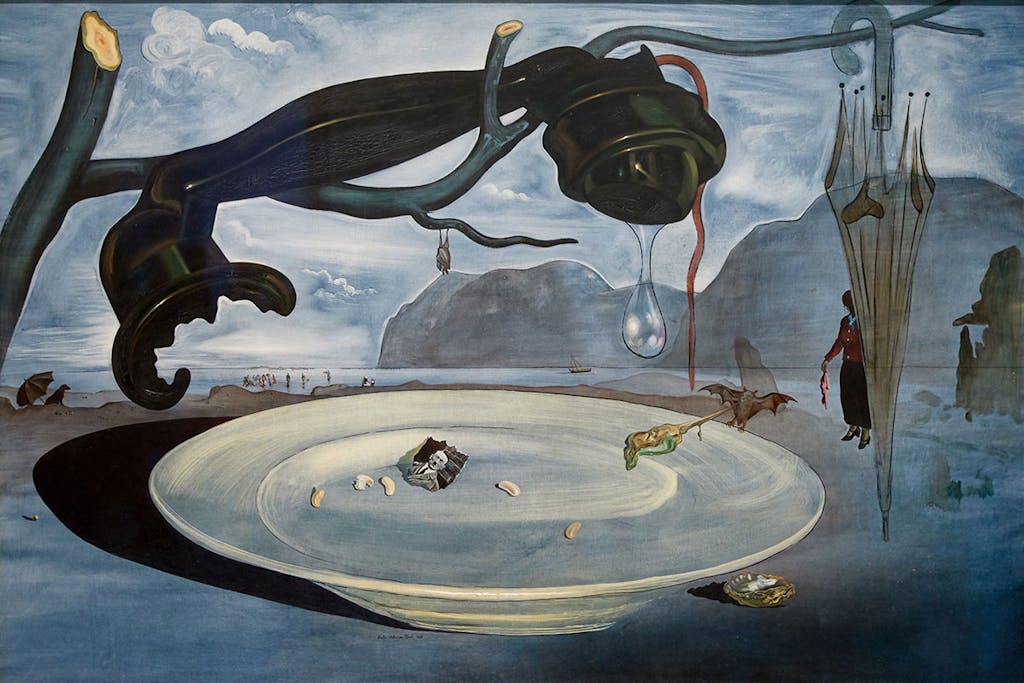 Salvador Dali Malerier Kunst Plakat, Salvador Dali, B: 86 H: 66 | DBA