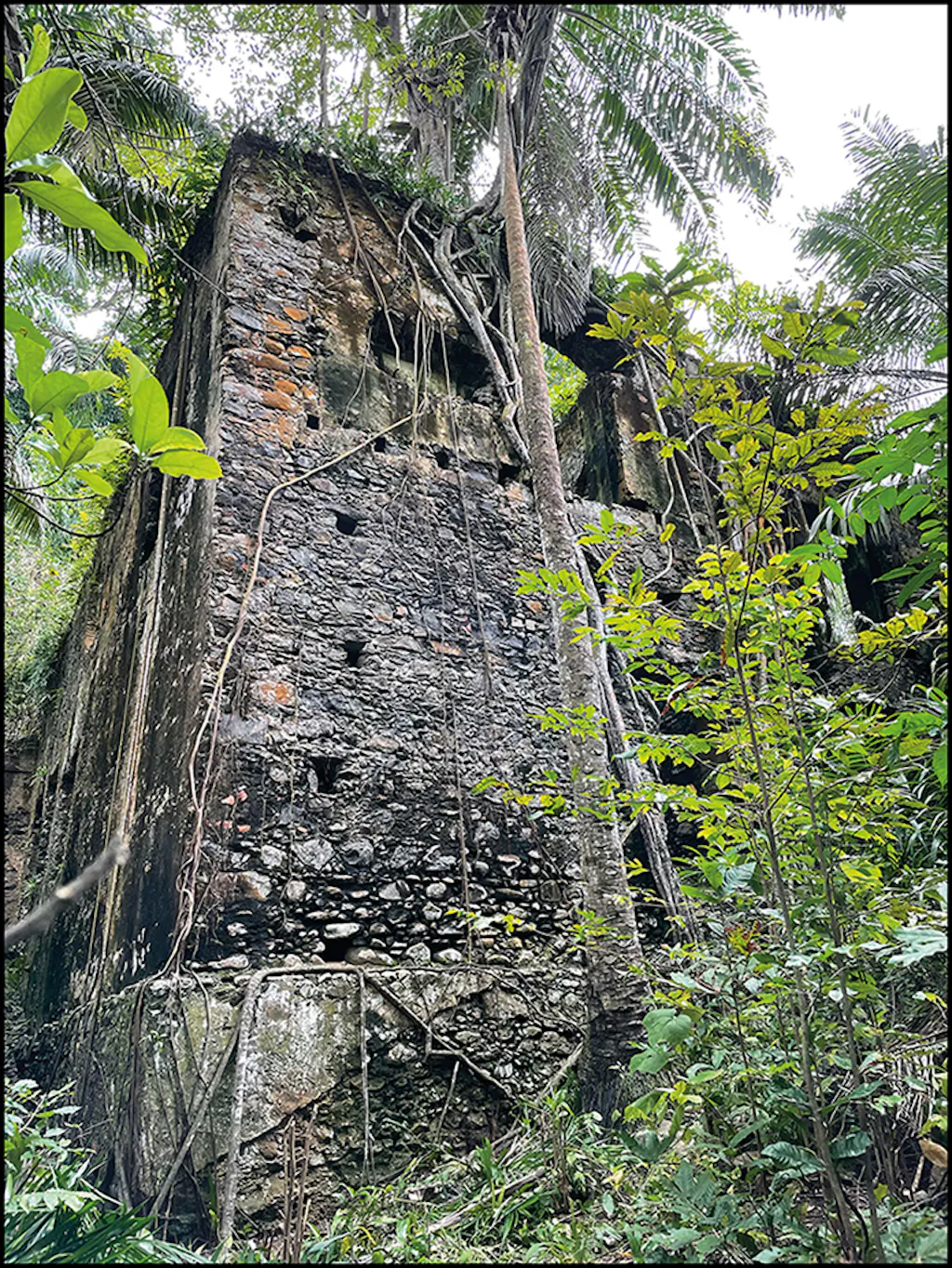 Archeologen vinden oudste slavenplantage van koloniaal tijdperk ...