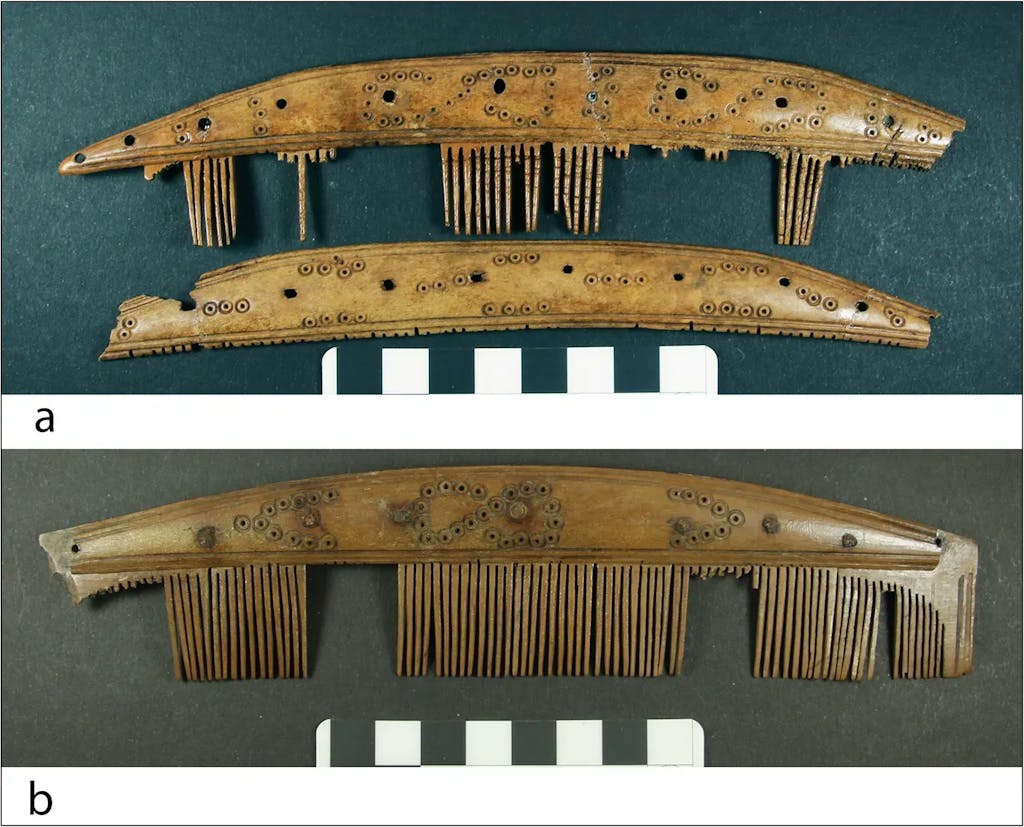 Turhamaiset viikingit hankkivat kampoja Norjasta | historianet.fi