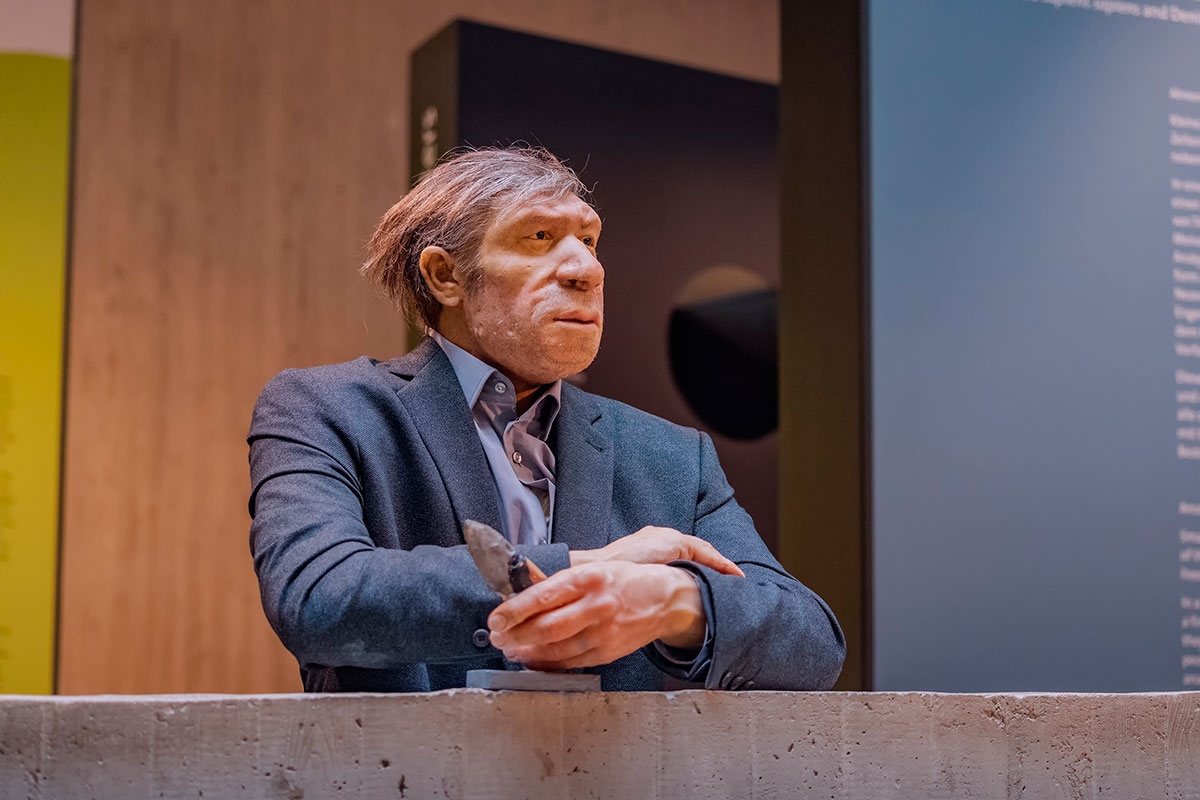 Neandertalere: Fra halvidioter til ligeværdige fortidsnaboer ...