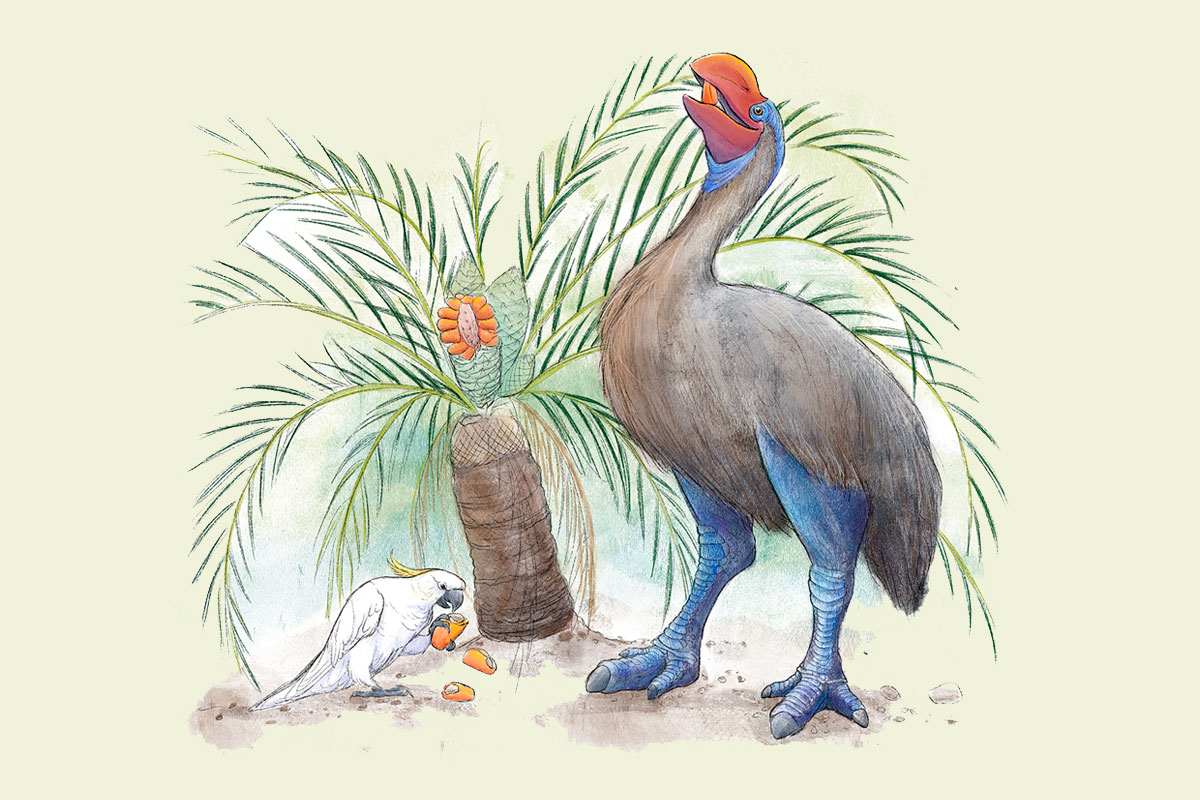 Australian aboriginaalit – historia ja uskonto | historianet.fi