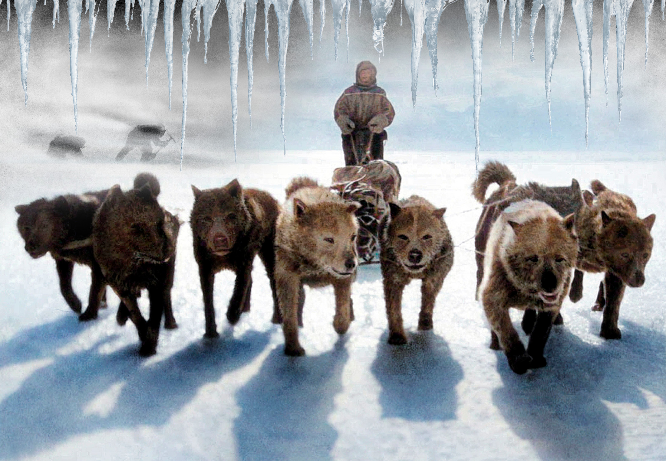 Douglas Mawson︱Dödskamp i Antarktis | varldenshistoria.se