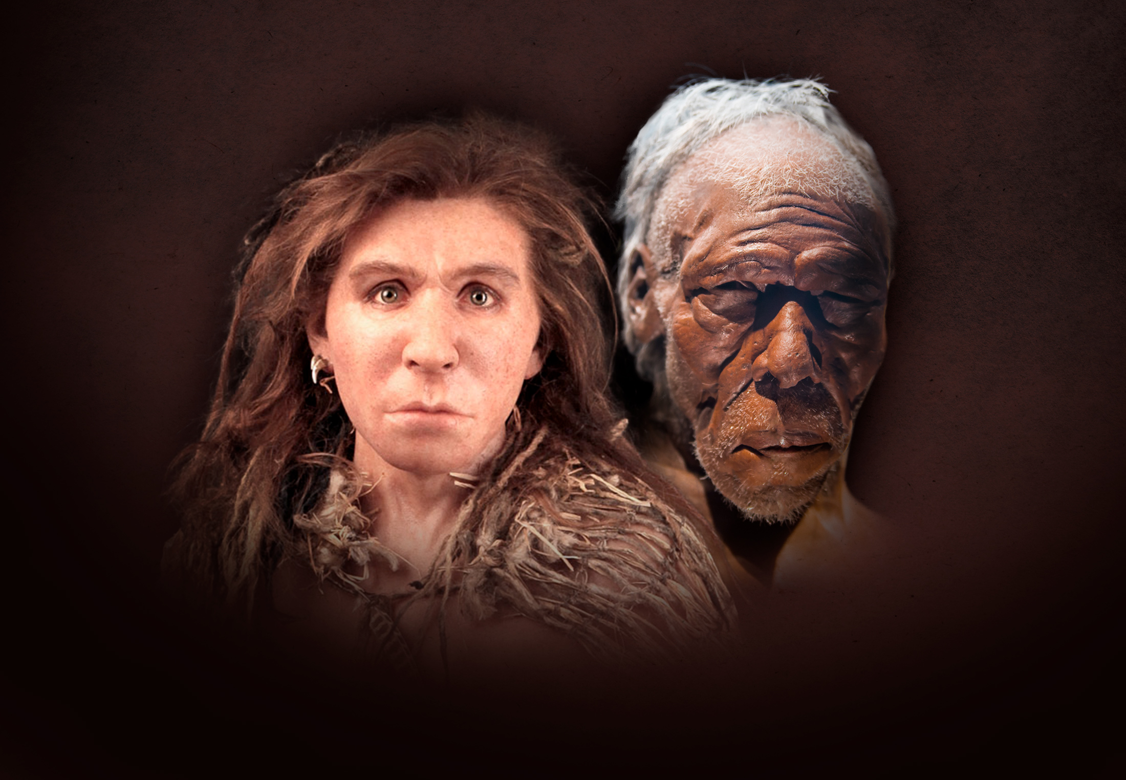 Mennesker parrede sig med neandertalere, 175.000 år før vi troede ...