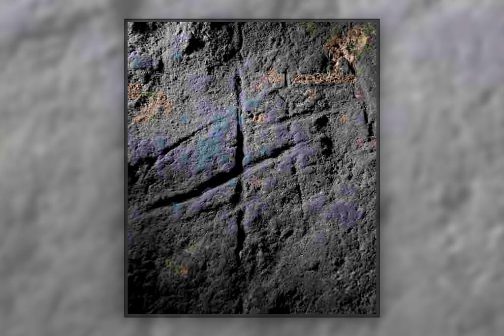 Neanderthalers: Alles over de historische buren van Homo sapiens ...