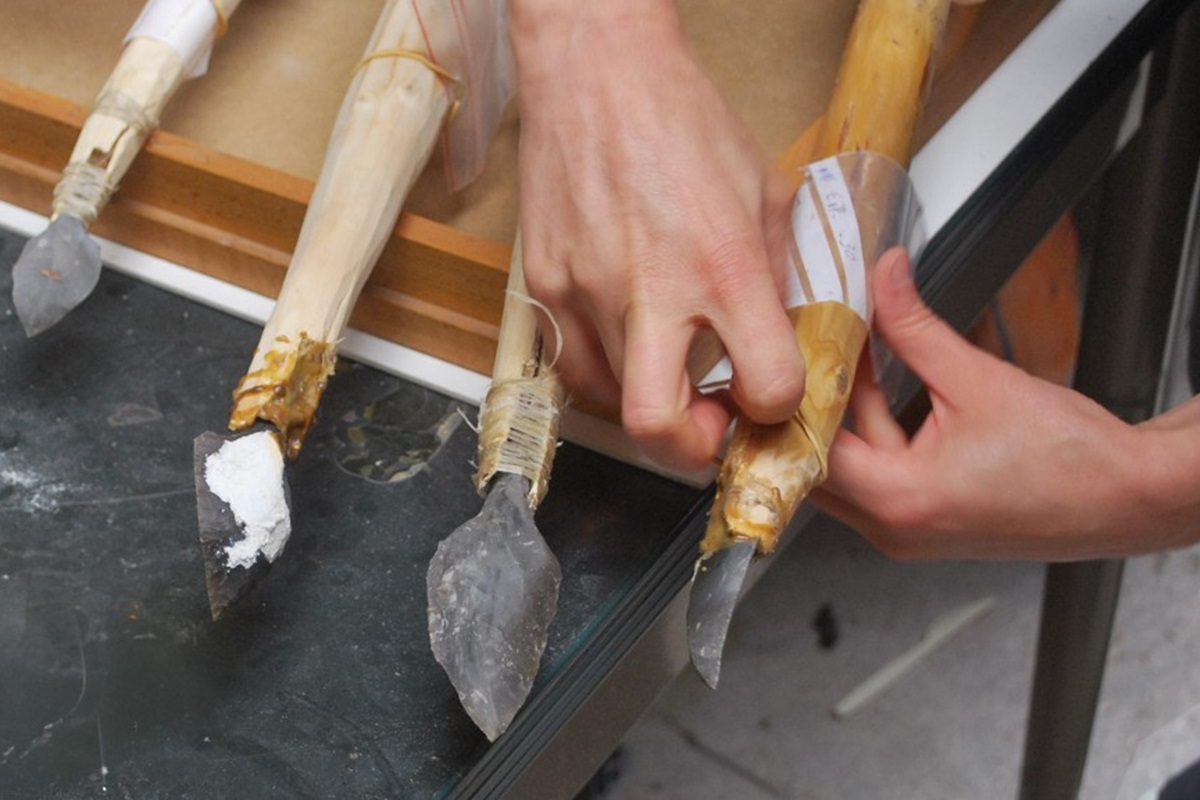 Stenalder-europæere brugte kastetræ 10.000 år før antaget | historienet.dk