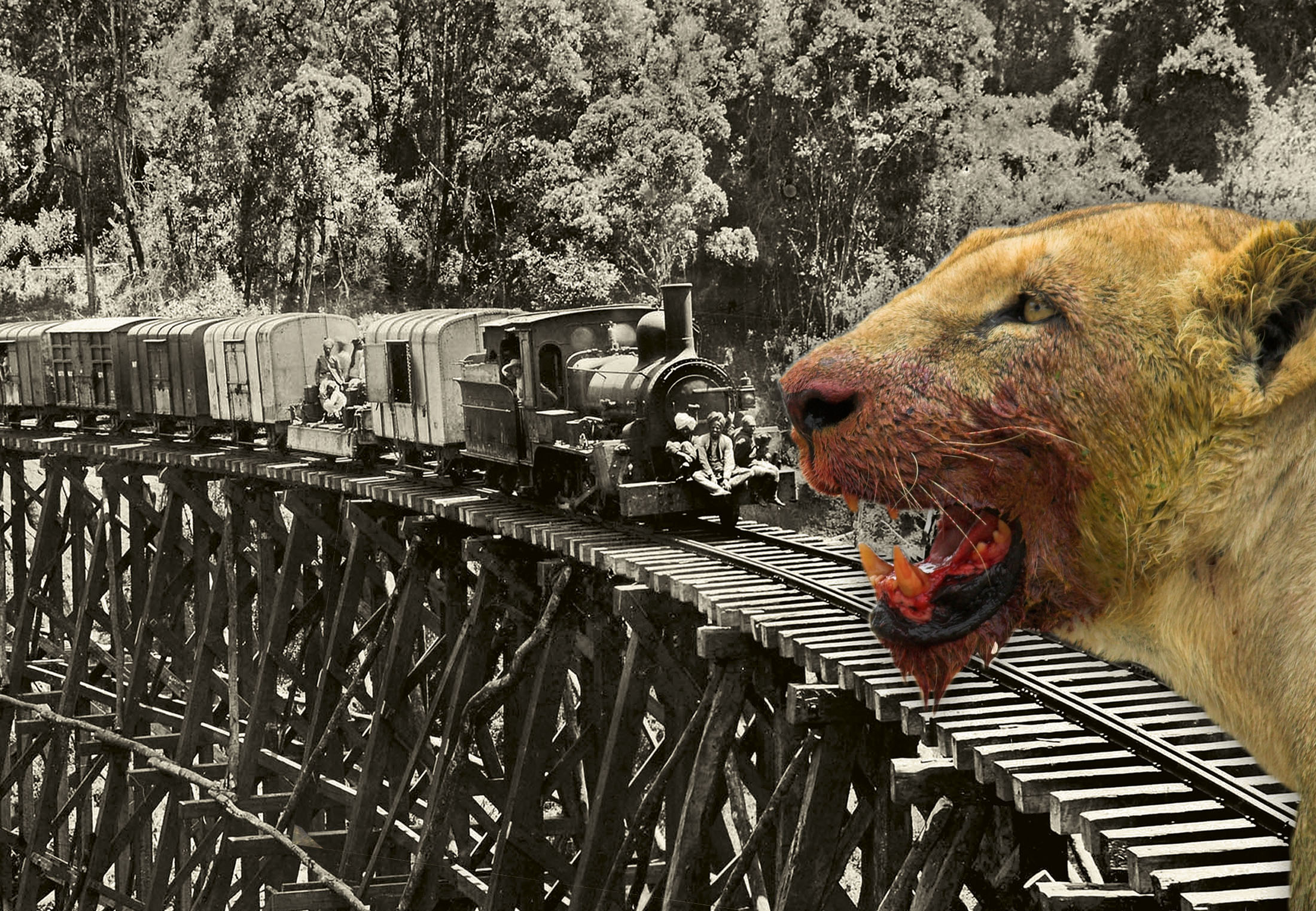 Britterne vägrade att ge upp: Vansinnesbanan måste avslutas ...