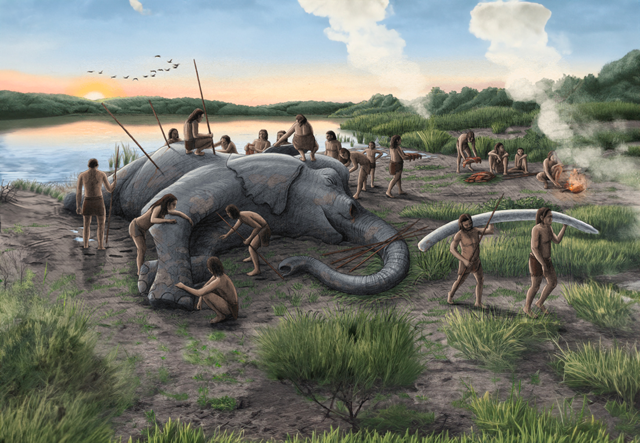 Ny studie: Neandertalere felte 13 tonn tunge kjempeelefanter ...