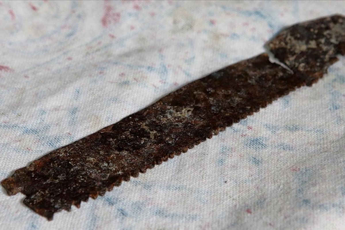 Archeologen vinden 2250 jaar oude handzaag | historianet.nl