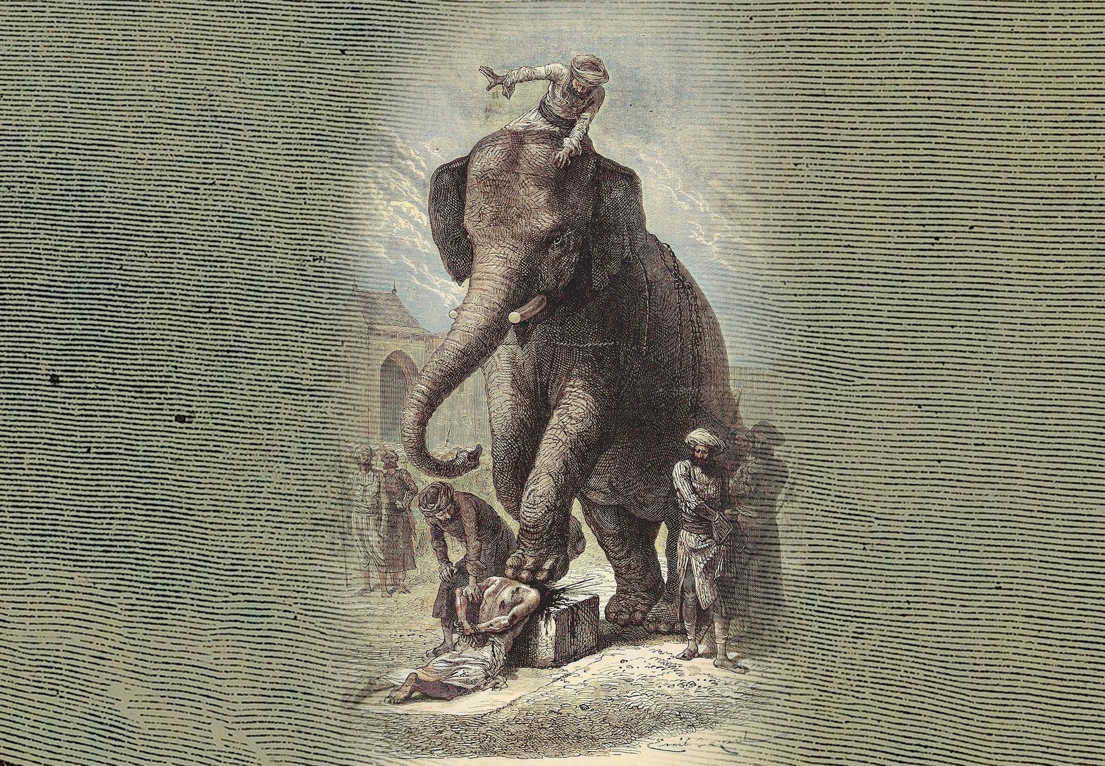 Olifanten waren geduchte beulen in India | historianet.nl