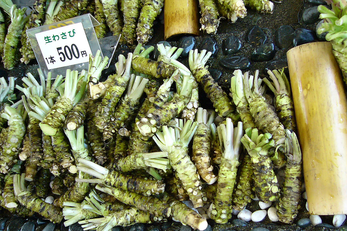 Wasabi pelastaa ikivanhan papyruksen | historianet.fi