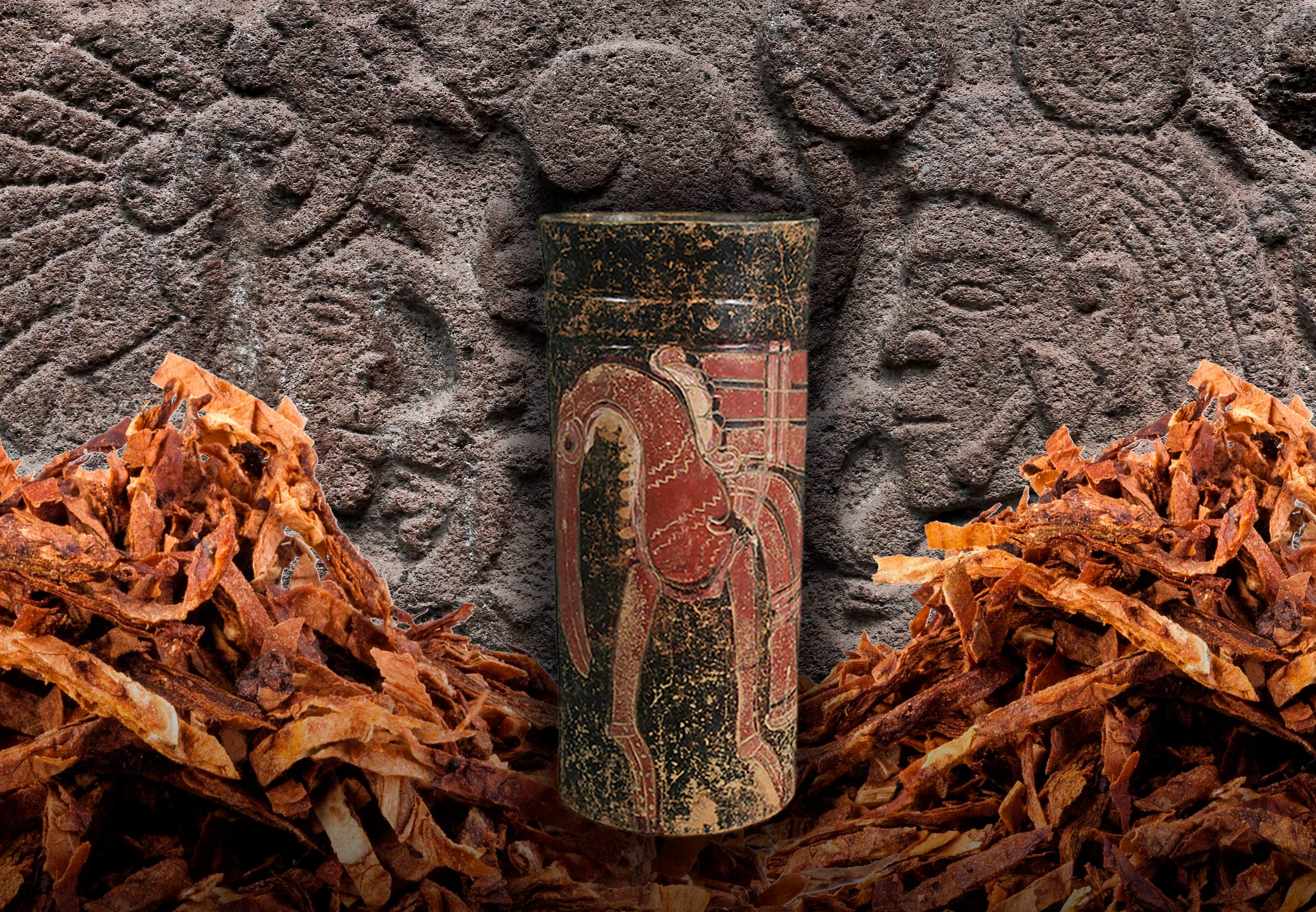 Vanvittig opdagelse: Mystisk indianerfolk drak tobak | historienet.dk