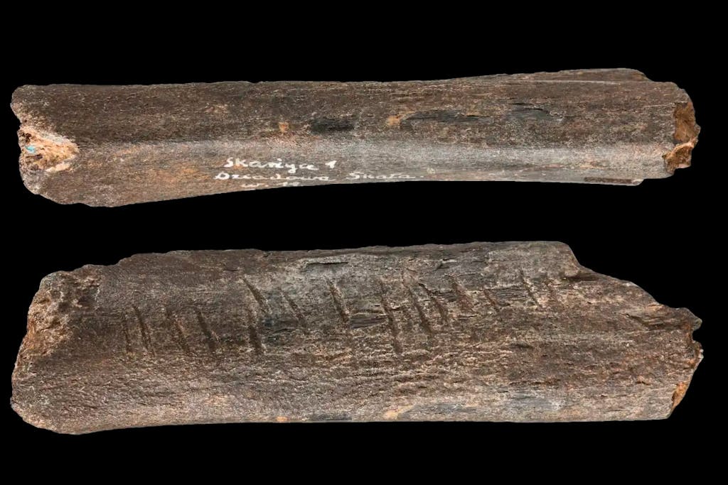 Wetenschap | Ontdekkingen en geleerden | historianet.nl