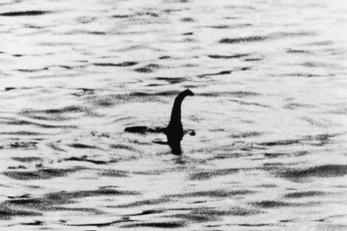 Fabeldieren: De werkelijkheid achter 7 mythische wezens | historianet.nl