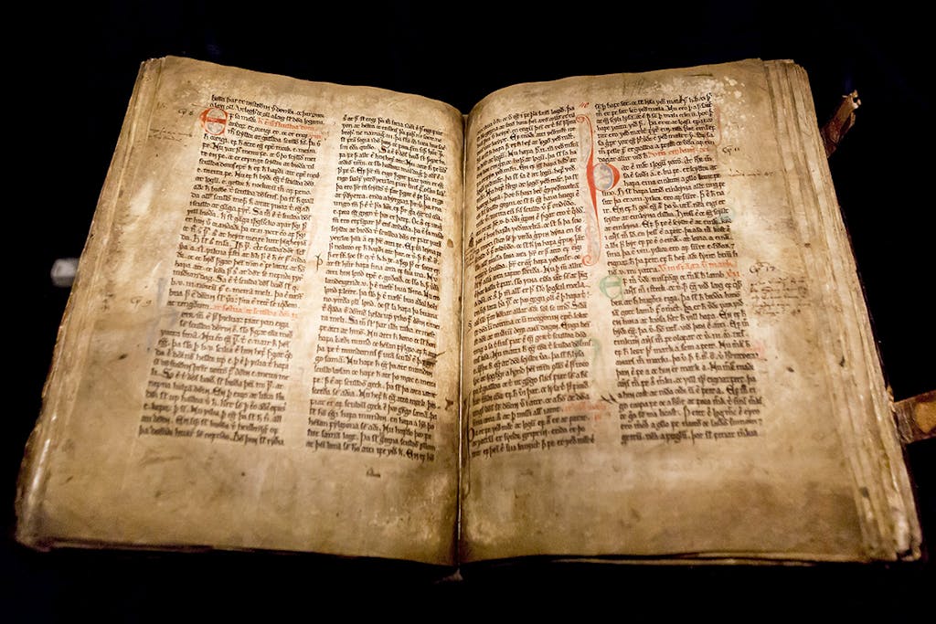 De isländska sagorna: Allt om vikingarnas romantiska äventyr ...