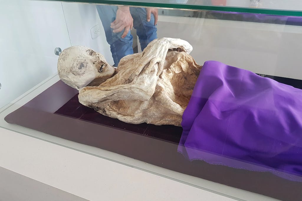 Eigentijds | historianet.nl