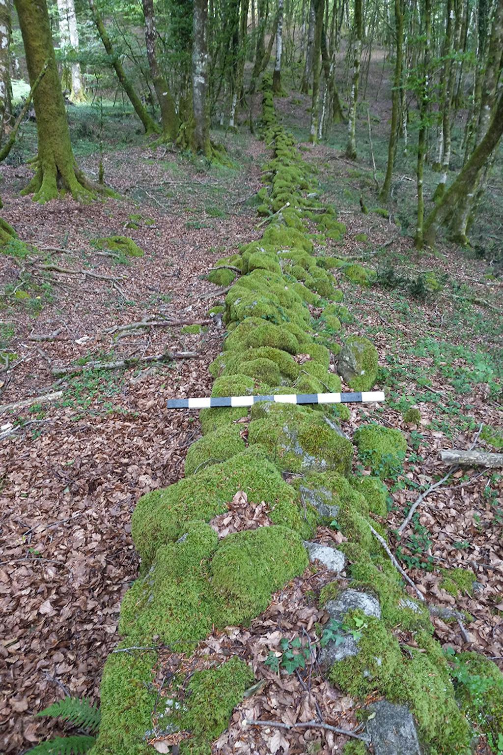 Arkæologer finder mur brugt til at standse Spartacus | historienet.dk