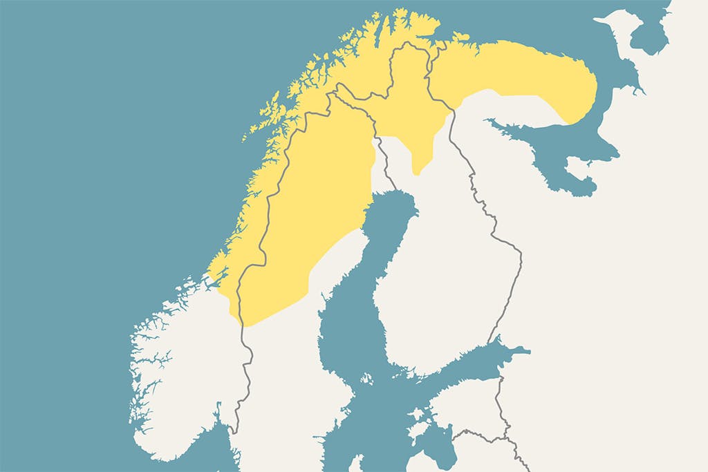 Samenes historie - alt om Skandinavias nomader | historienet.no