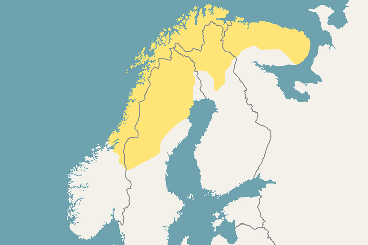 Saamelaisten historia – kaikki Pohjolan nomadeista | historianet.fi