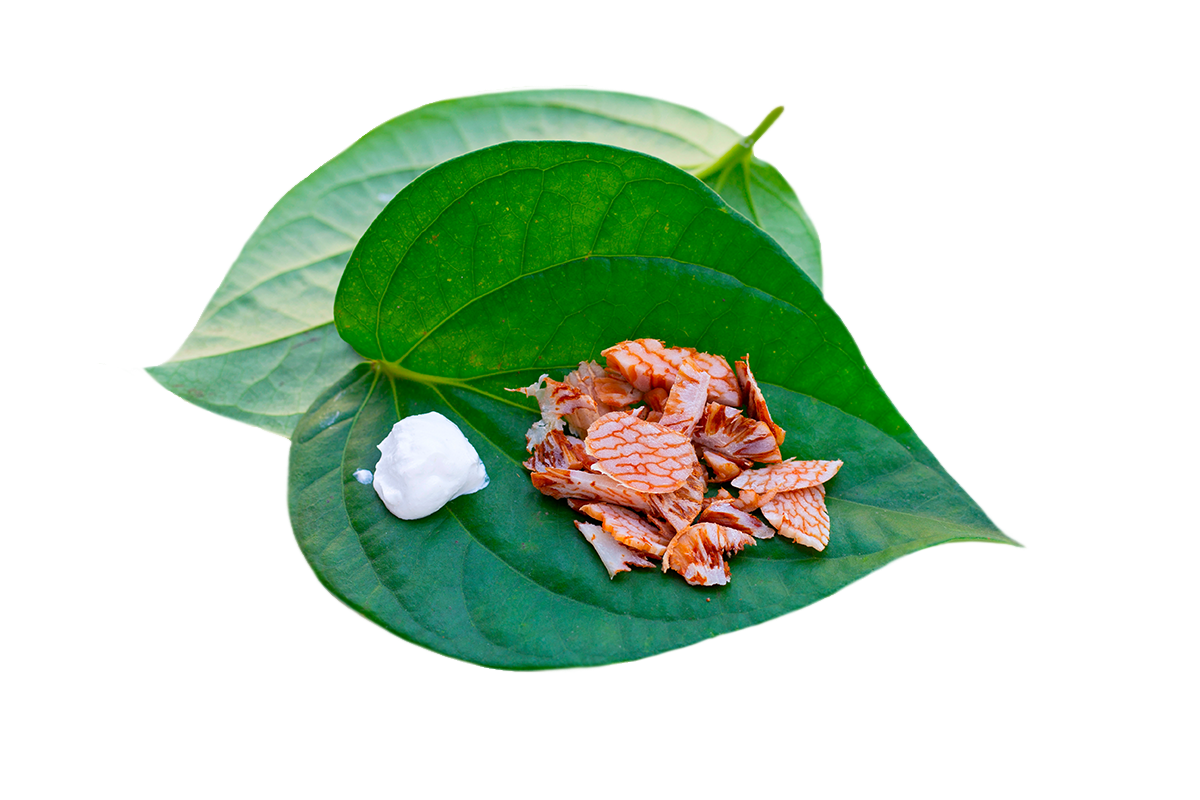 Ibn Battuta oli muslimien Marco Polo | historianet.fi