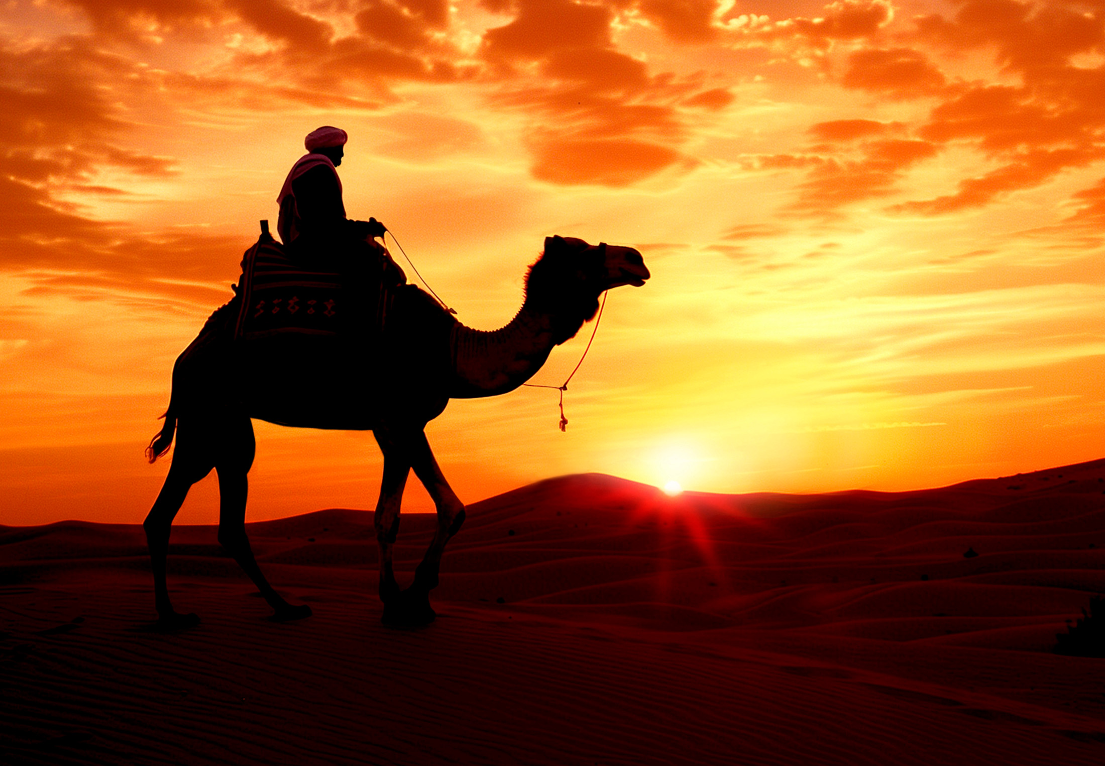 Ibn Battuta oli muslimien Marco Polo | historianet.fi