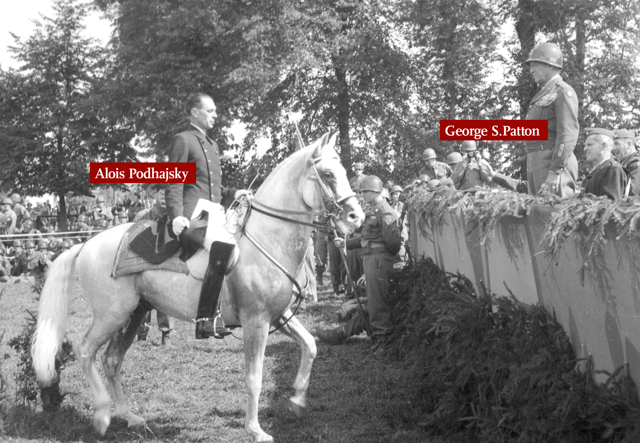“Operation Cowboy”: Mission skal redde lipizzanerheste | historienet.dk