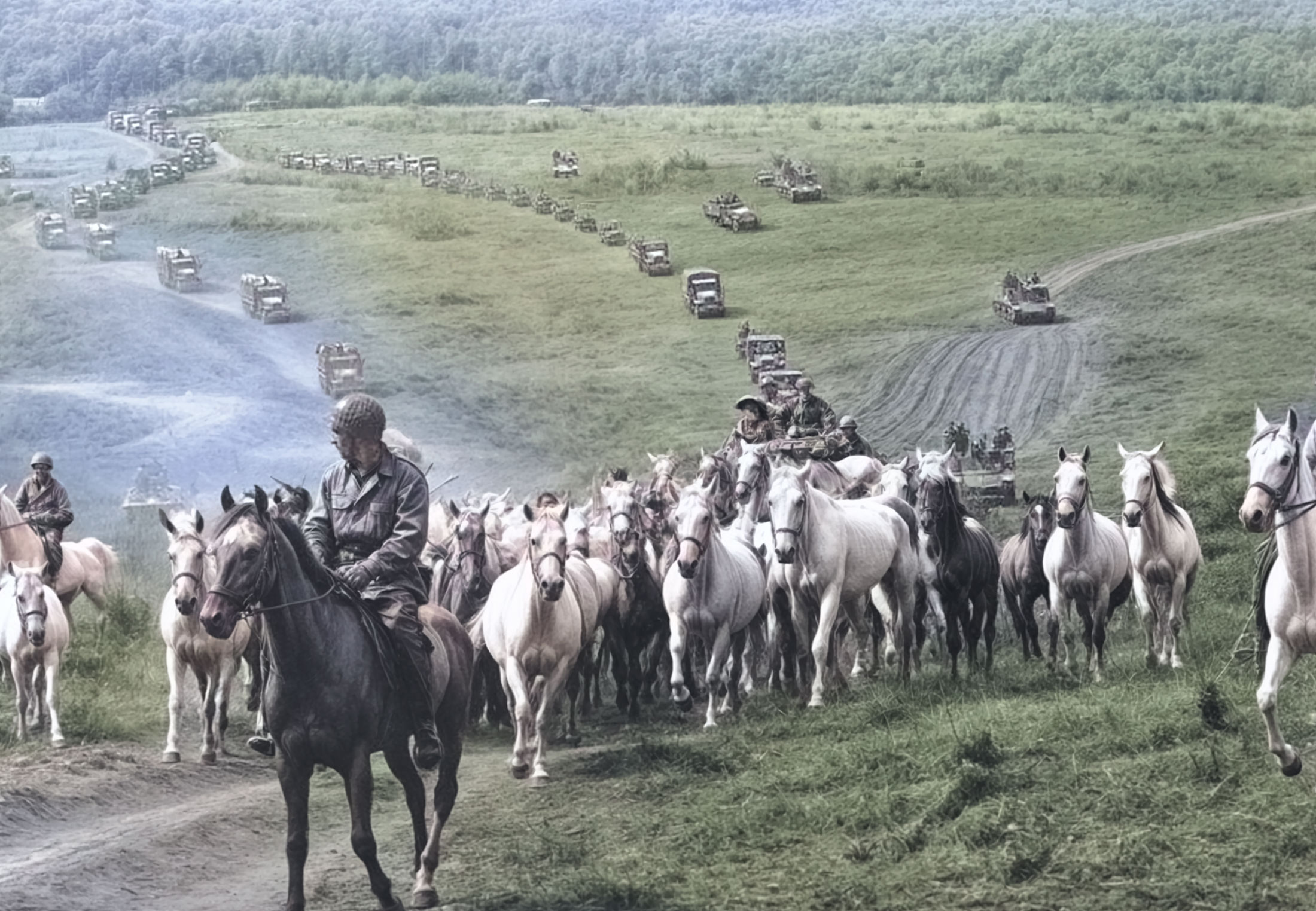 “Operation Cowboy”: Mission skal redde lipizzanerheste | historienet.dk