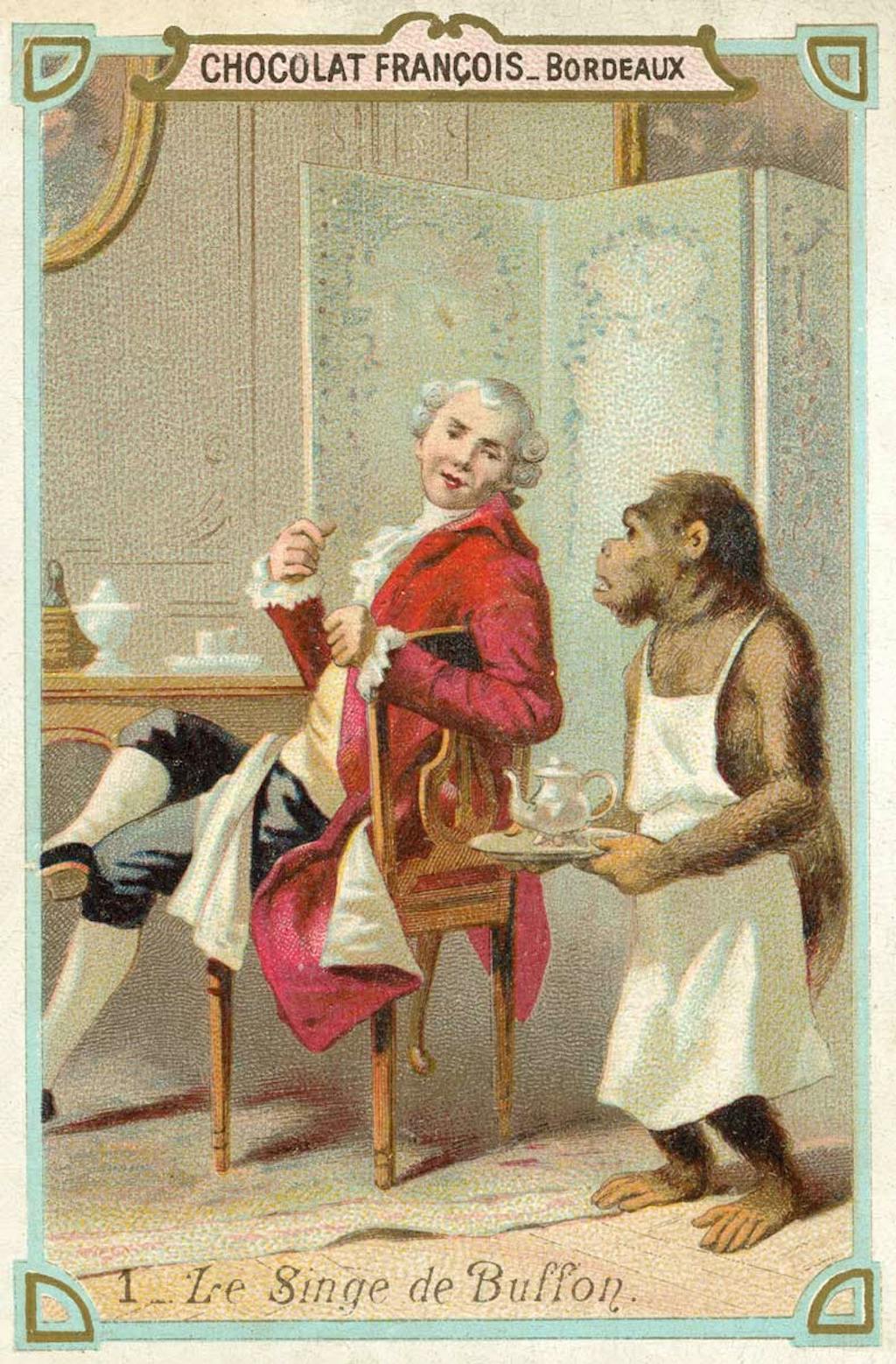 Georges-Louis Leclerc Buffon: På sporet af evolutionen | historienet.dk