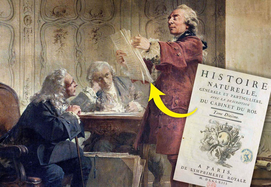 Videnskab | Store opdagelser og videnskabsfolk | historienet.dk