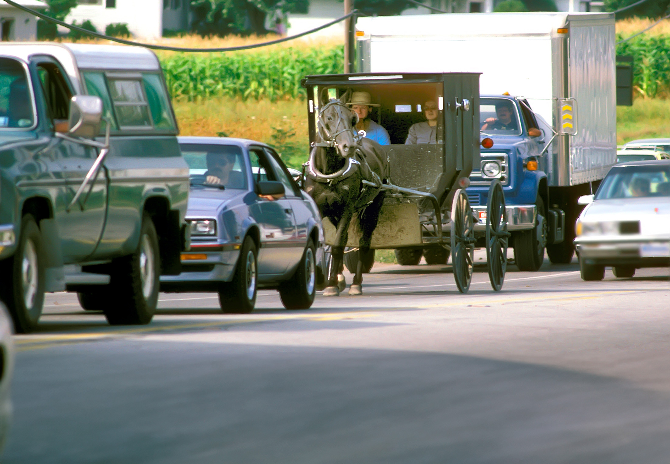 Amish: Bag om amish-folkets hemmeligheder | historienet.dk
