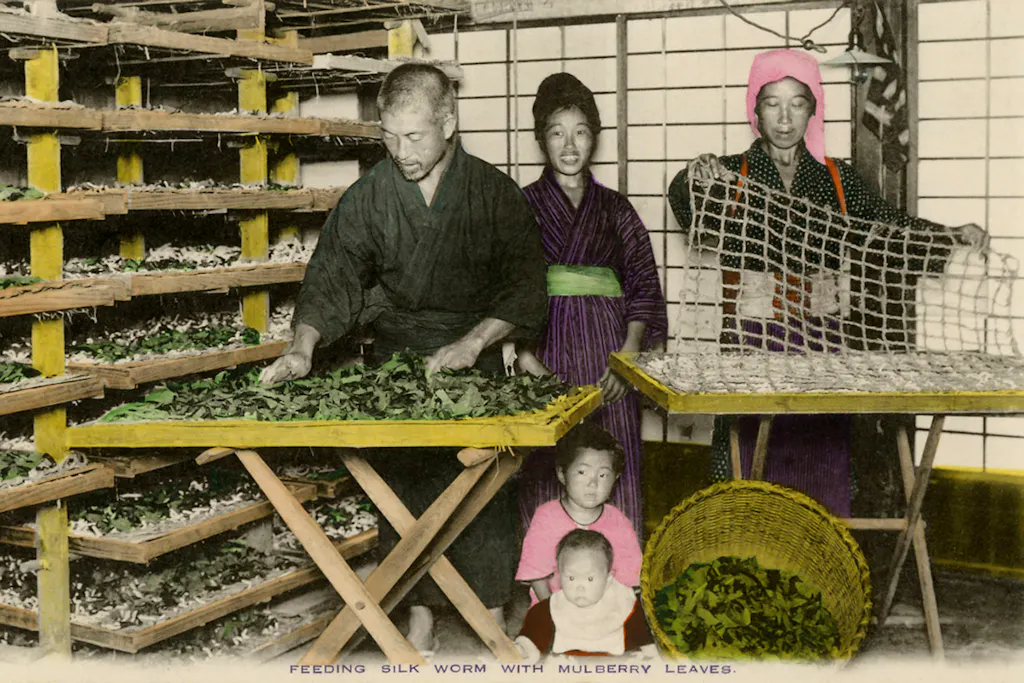 Japanse samoerai werden slachtoffer van vooruitgang | historianet.nl