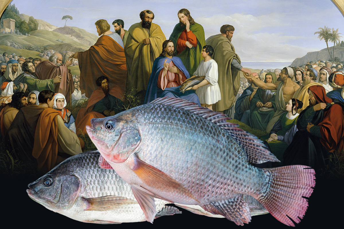 Mirakel-gåde løst: Sådan bespiste Jesus 5.000 mand med to fisk ...