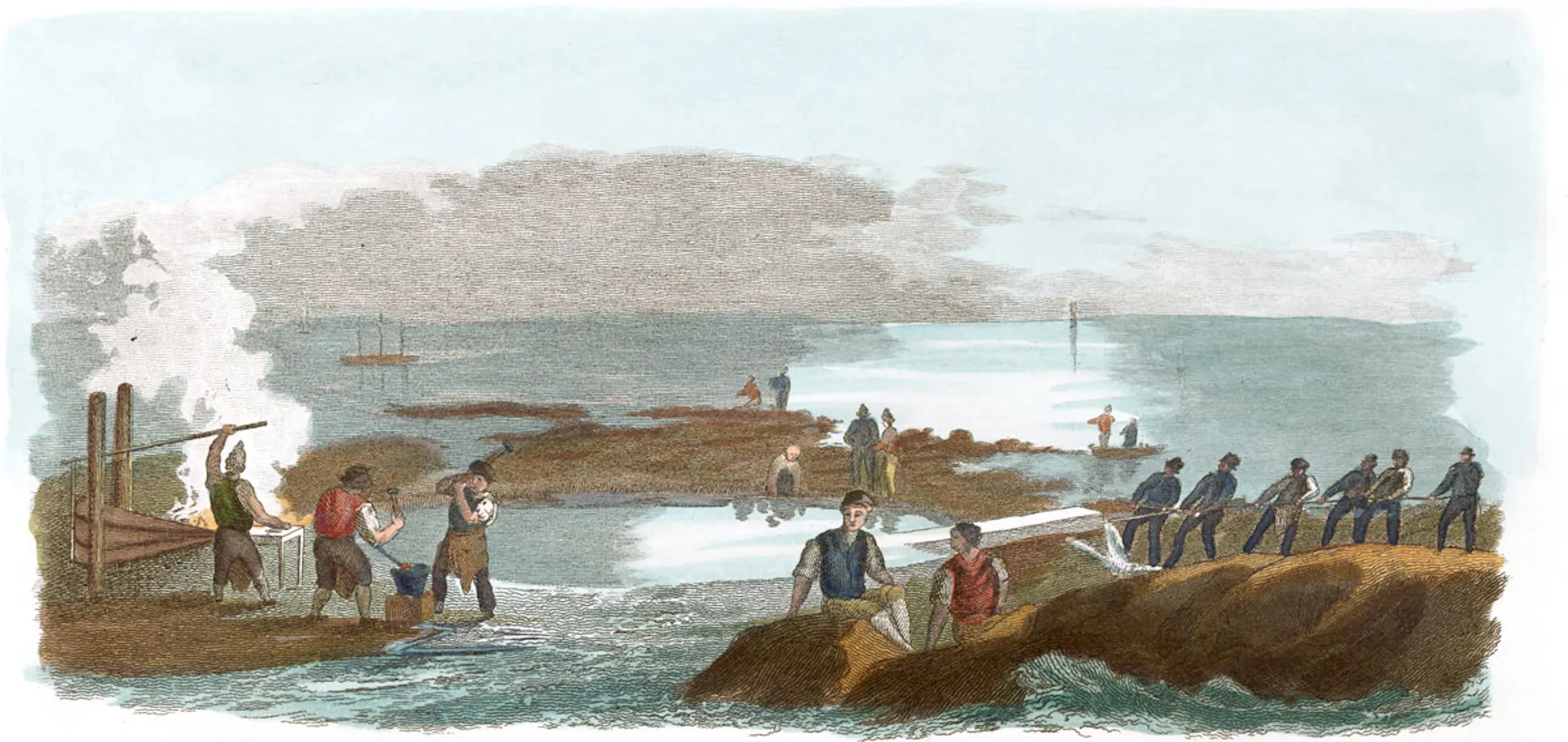 Bell Rocks fyr: Ingeniør bygget det umulige | historienet.no