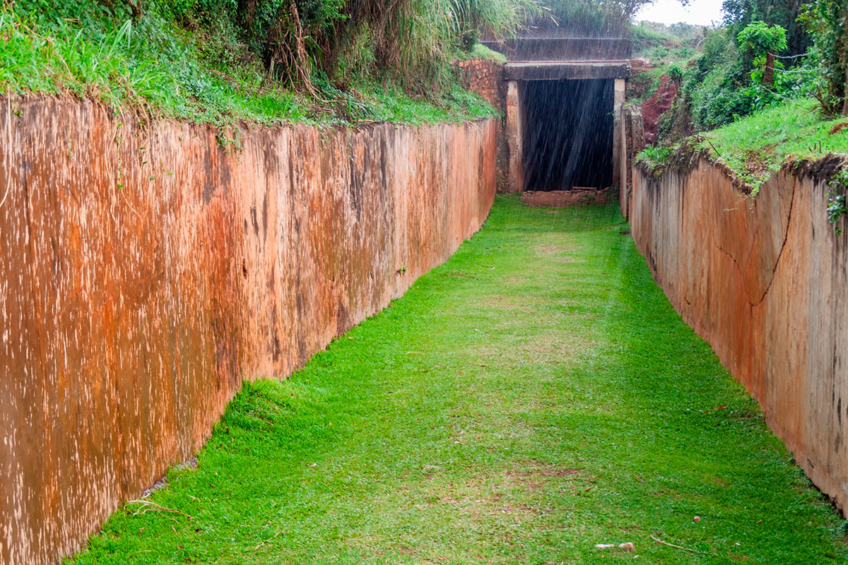 Idi Amin: De Slachter van Oeganda tegen de wereld | historianet.nl
