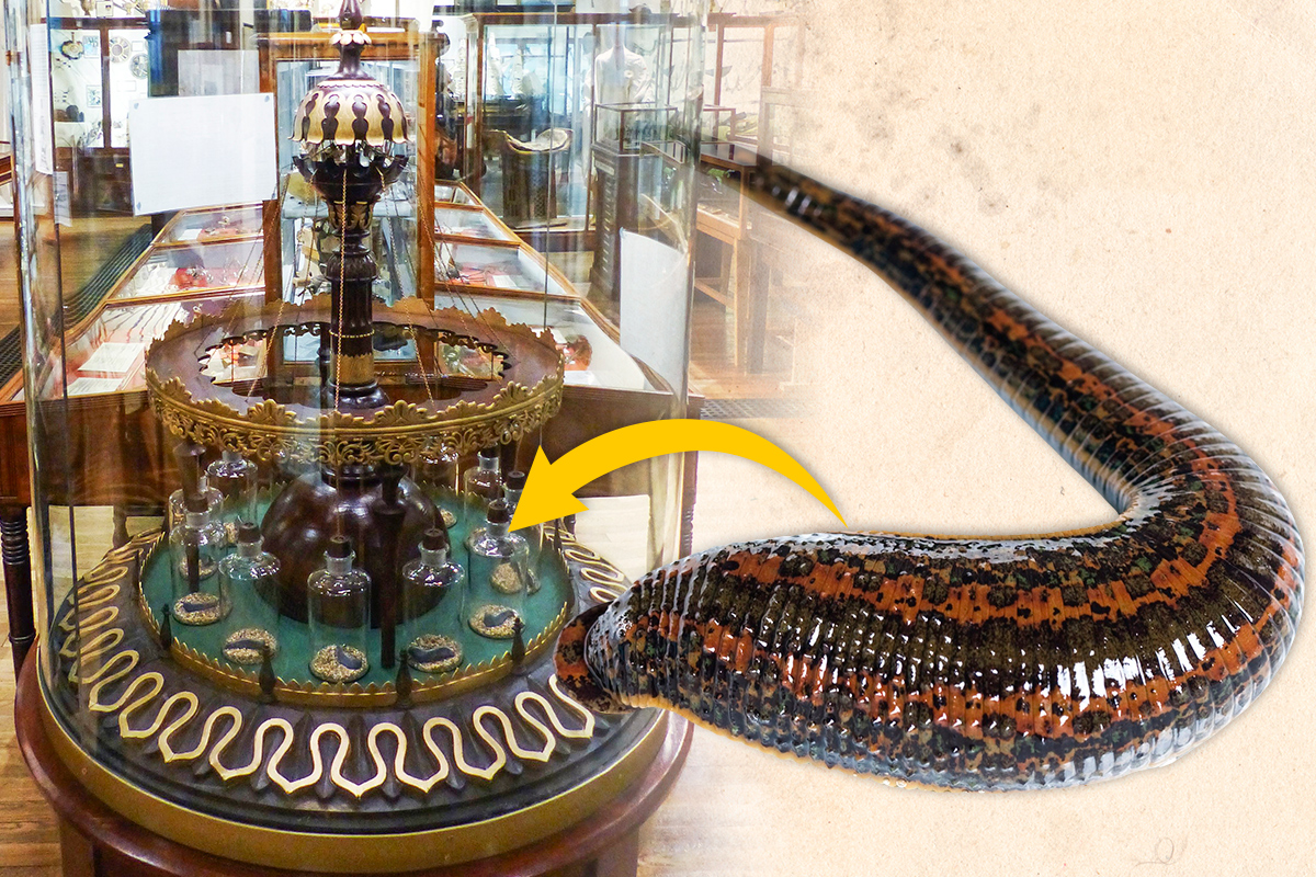 Iilimatomittari: Verenimijöiden oli tarkoitus ennustaa säätä ...