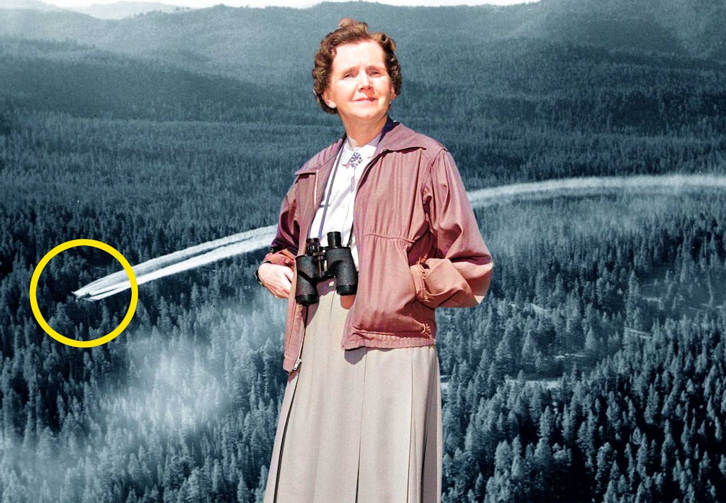 Het decennium dat je leven veranderde: de jaren 1960 | historianet.nl