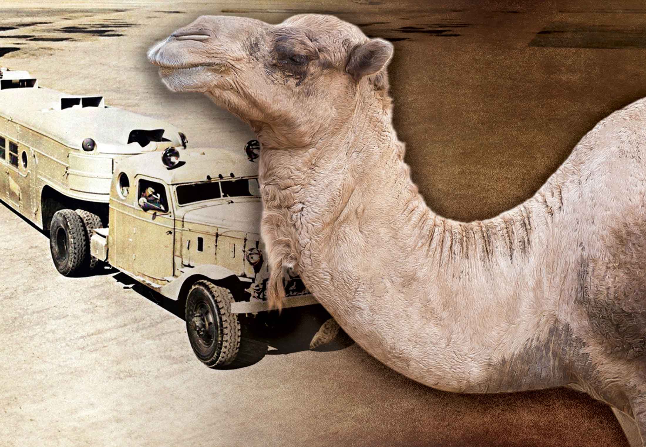 Vuosisatoja vanha valli Mongoliassa yllätti tutkijat | historianet.fi